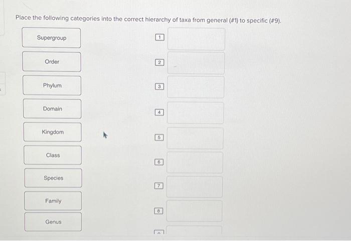 Solved Place the following categories into the correct | Chegg.com
