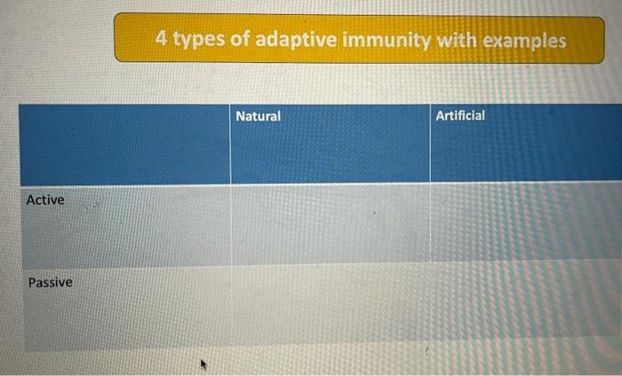 Solved 4 types of adaptive immunity with examples Natural | Chegg.com