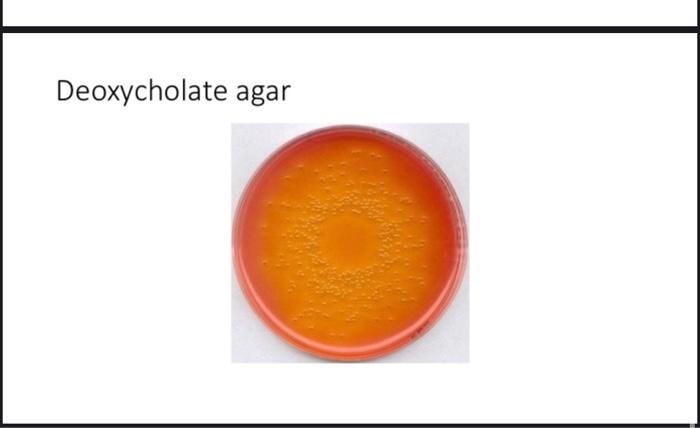 Solved Deoxycholate agar | Chegg.com