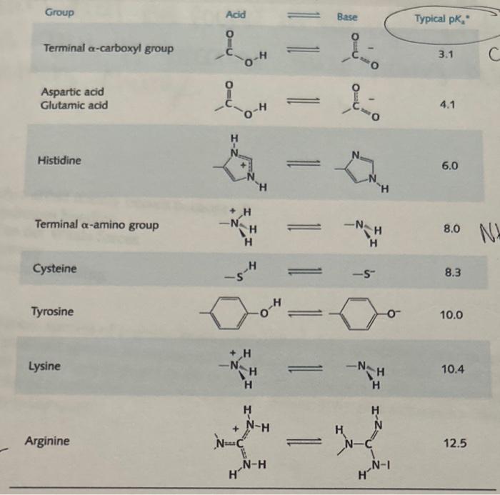Solved 7. Draw all of the ionic species of arginine | Chegg.com