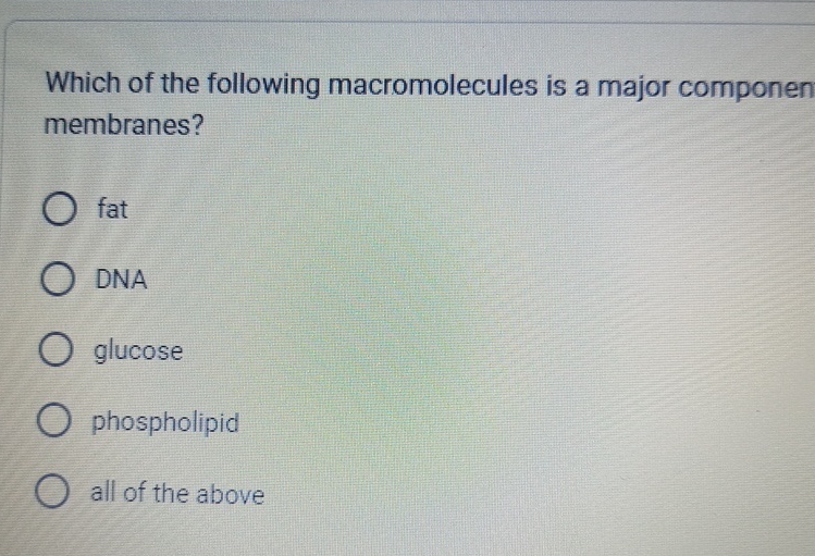 Solved Which of the following macromolecules is a major | Chegg.com