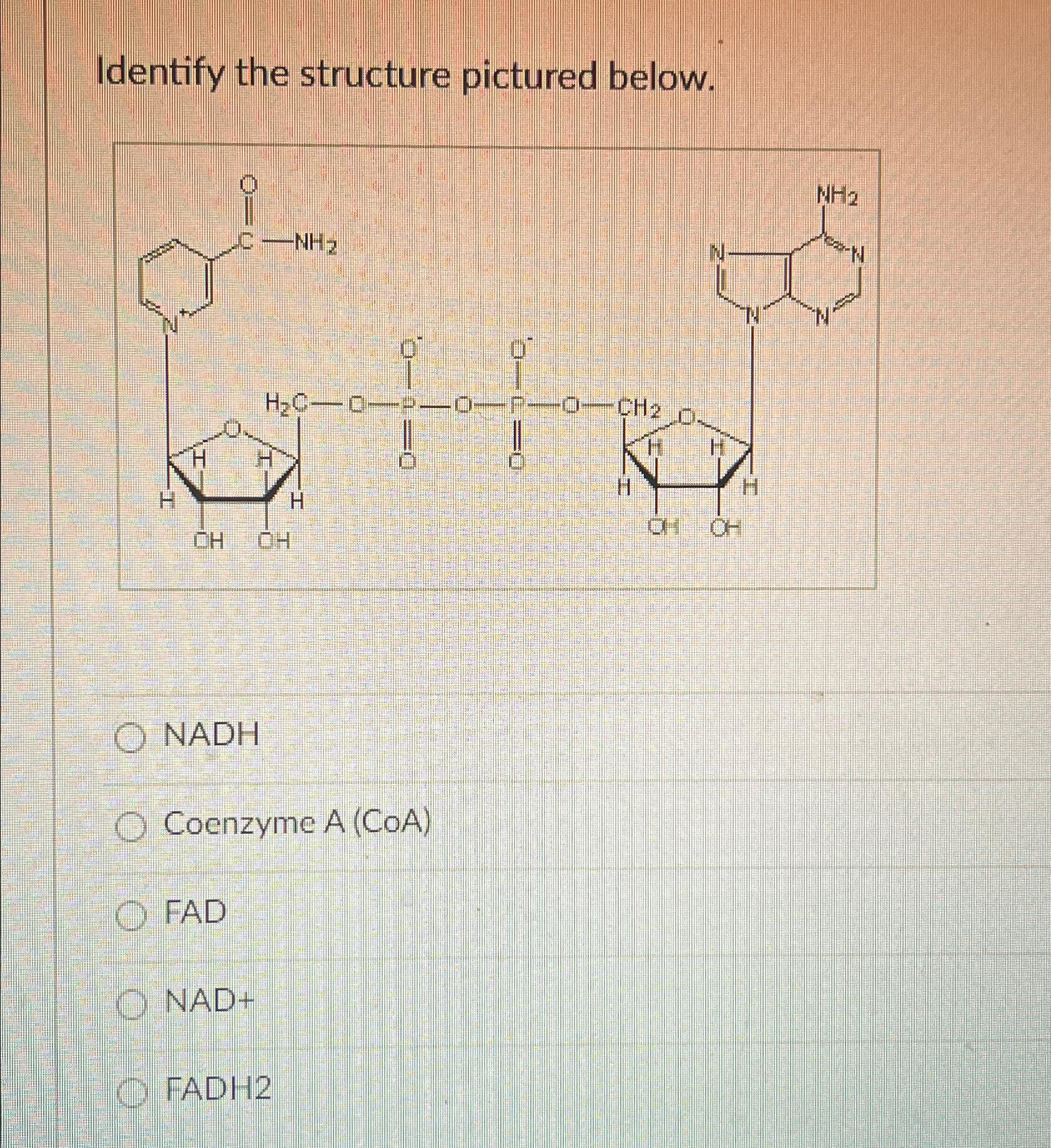Solved Identify the structure pictured below.NADHCoenzyme A | Chegg.com