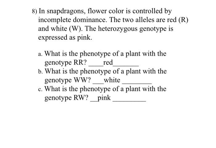 Solved 8) In snapdragons, flower color is controlled by | Chegg.com