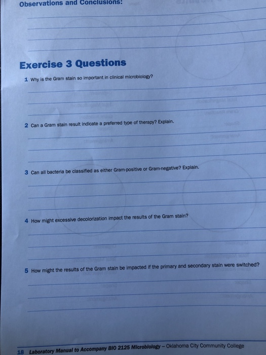 Solved Observations and Conclusions: Exercise 3 Questions 1 | Chegg.com
