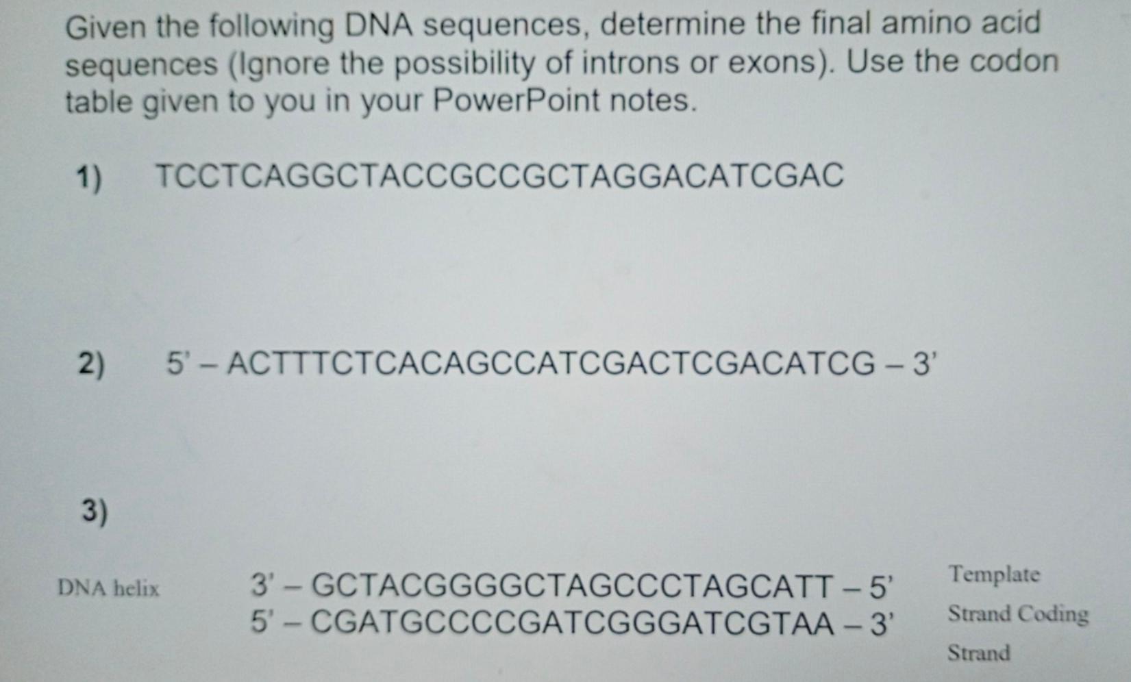 Solved Given the following DNA sequences, determine the | Chegg.com