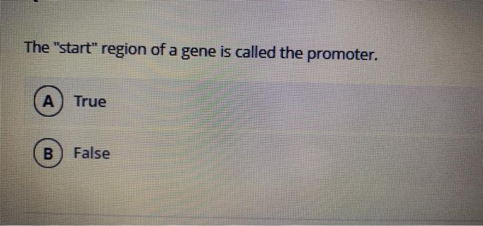 Solved Microevolution is defined as: A the process where one | Chegg.com