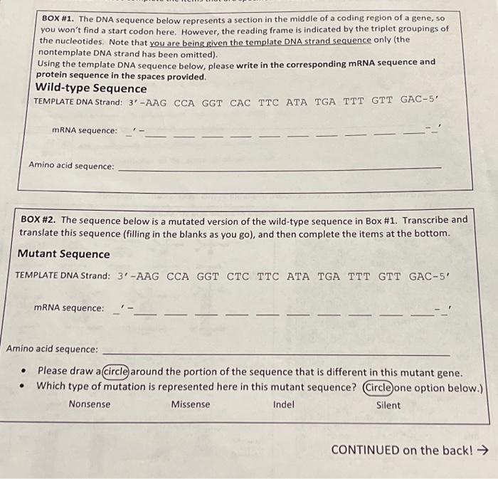 Solved BOX #1. The DNA sequence below represents a section | Chegg.com