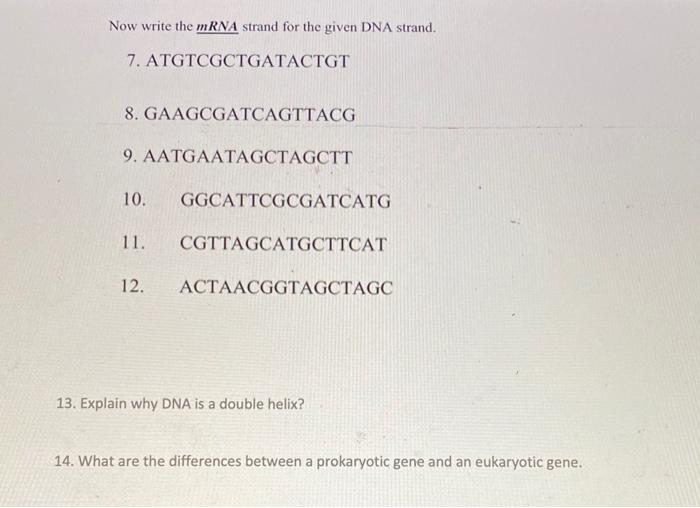 Solved Now write the mRNA strand for the given DNA strand. | Chegg.com