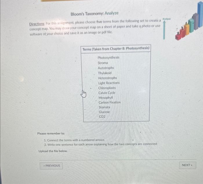 Solved Bloom's Taxonomy: Analyze Directions: For this | Chegg.com