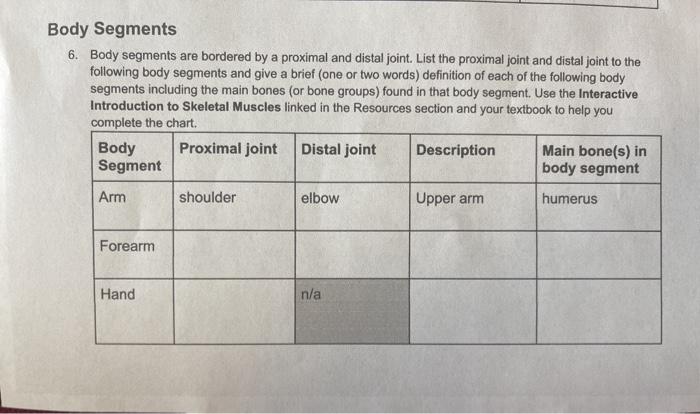 Solved Body Segments 6. Body segments are bordered by a | Chegg.com