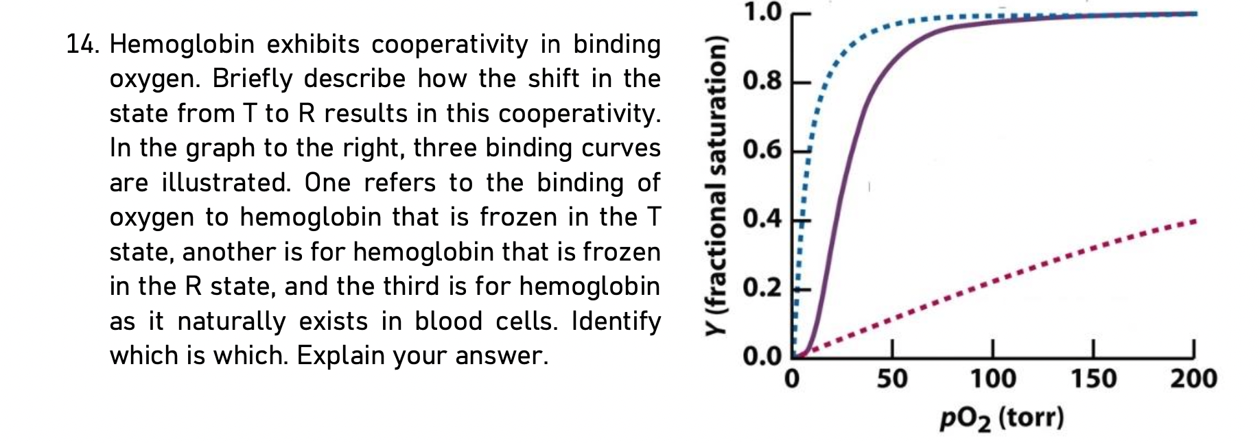 Solved 14. ﻿Hemoglobin exhibits cooperativity in binding | Chegg.com