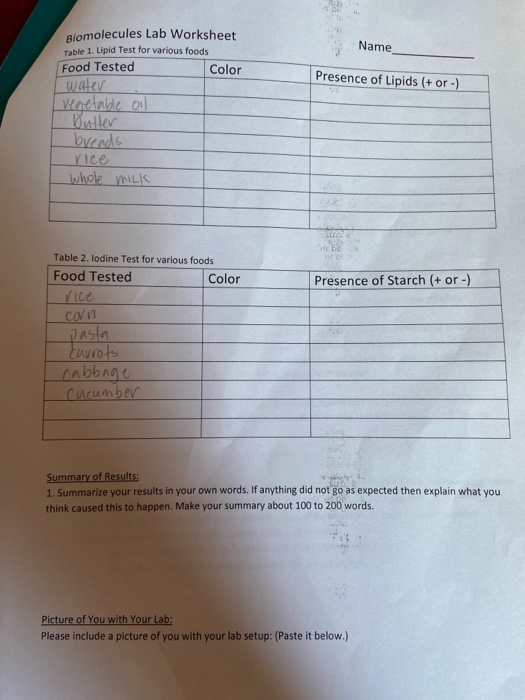 Solved Name Biomolecules Lab Worksheet Table 1. Lipid Test | Chegg.com