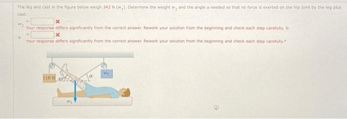 Solved The leg and cost in the figure below weigh 342 N(w1). | Chegg.com
