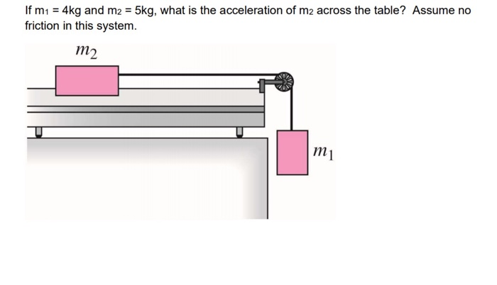 Solved Draw and label the forces on the weight system shown | Chegg.com