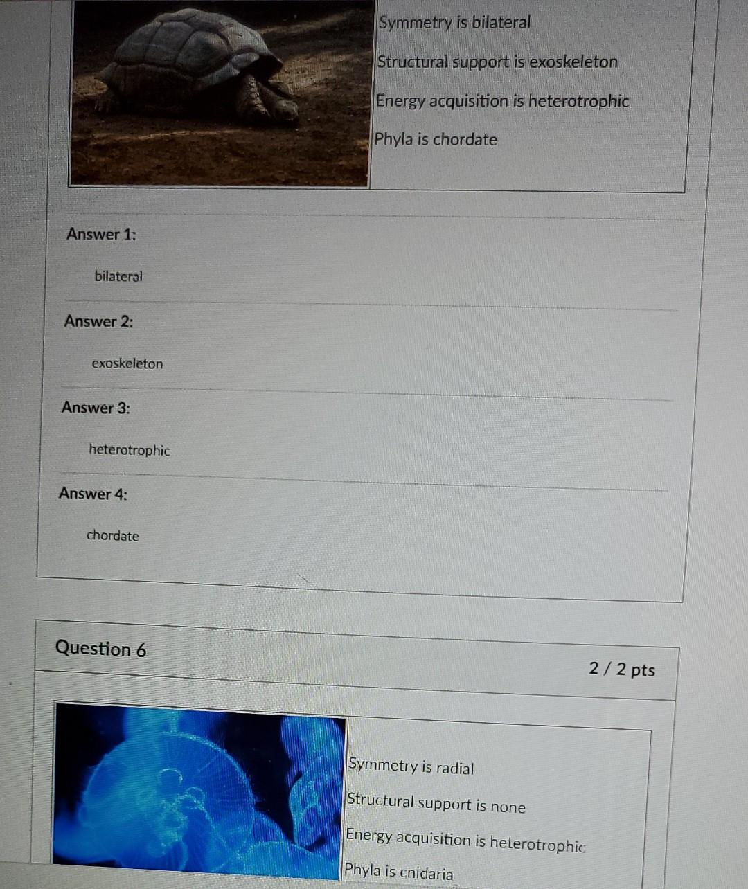 Solved hyla isSymmetry is bilateral Structural support is | Chegg.com