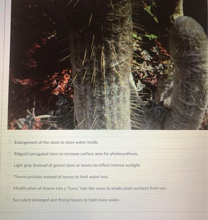 Solved . . Next to Sequoia Hall are the Sac State | Chegg.com