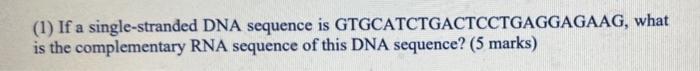 Solved (1) If a single-stranded DNA sequence is | Chegg.com