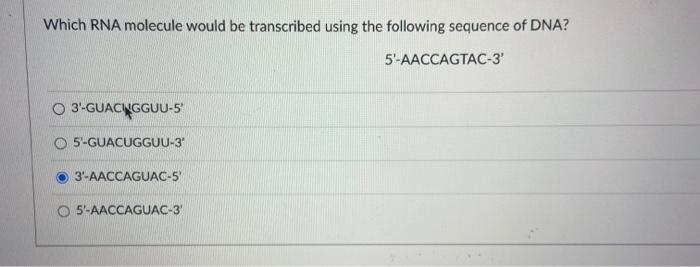 Solved Which RNA molecule would be transcribed using the | Chegg.com