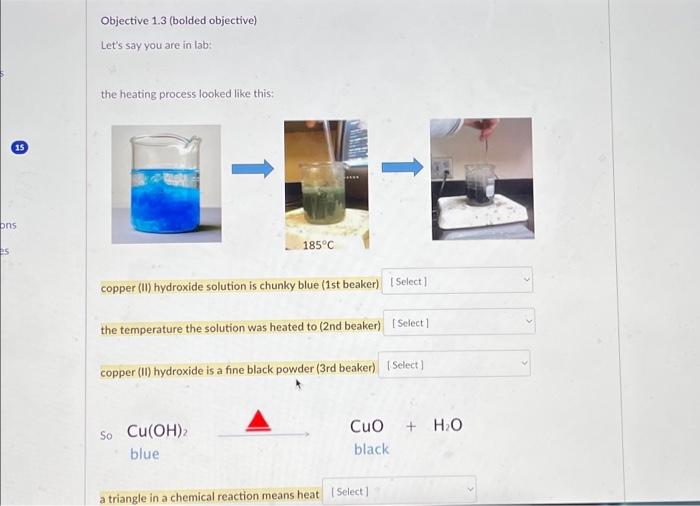 15 ons es Objective 1.3 (bolded objective) Let's say | Chegg.com