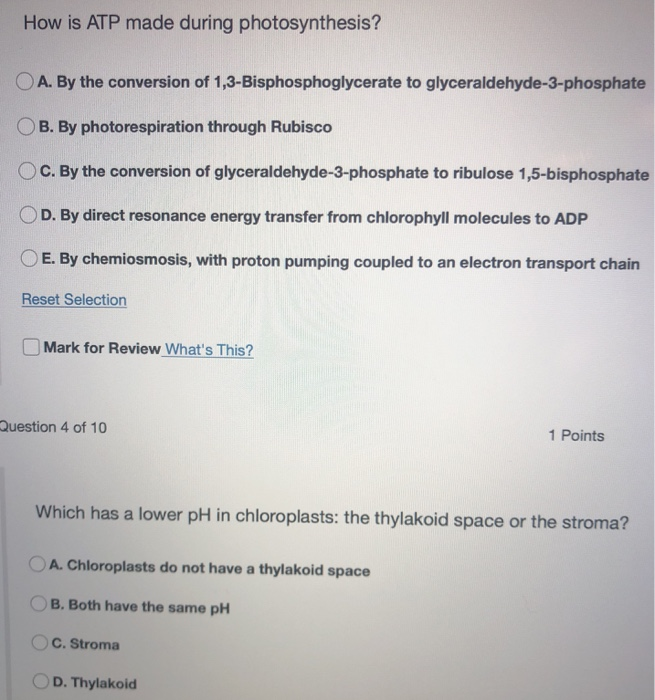 Solved How is ATP made during photosynthesis? O A. By the | Chegg.com
