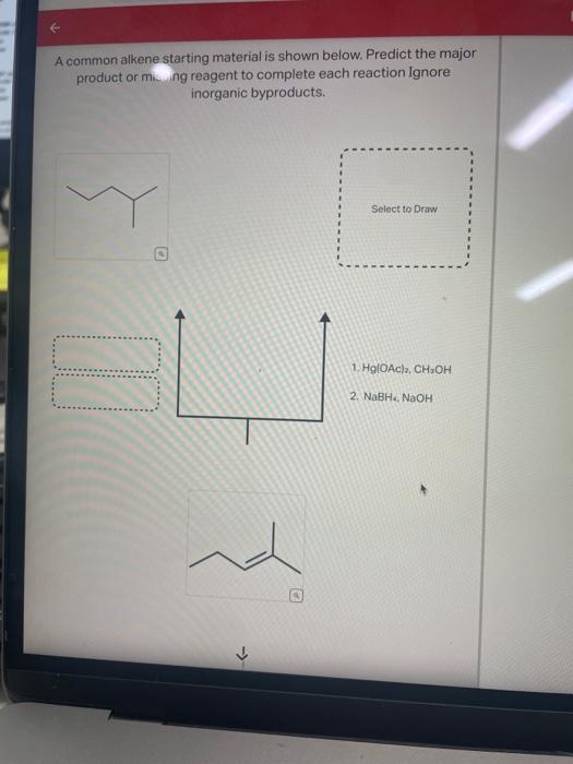 Solved A common alkene starting material is shown below. | Chegg.com