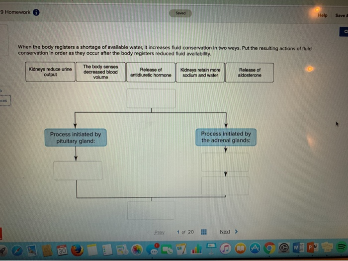 Solved 9 Homework Help Save & When the body registers a | Chegg.com