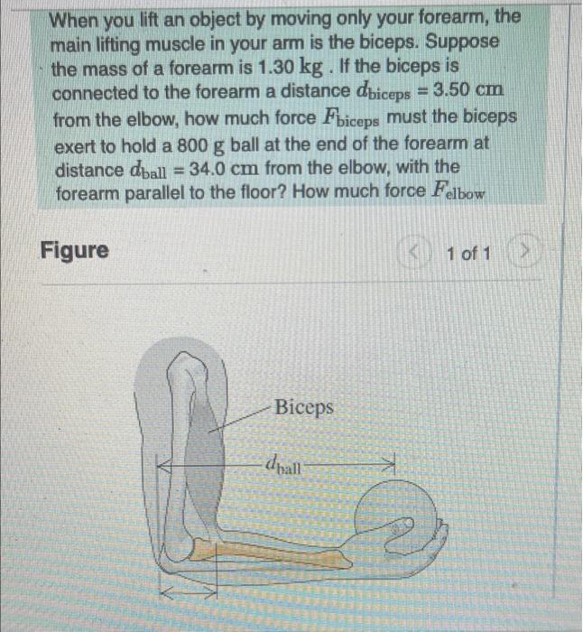 Solved When you lift an object by moving only your forearm, | Chegg.com