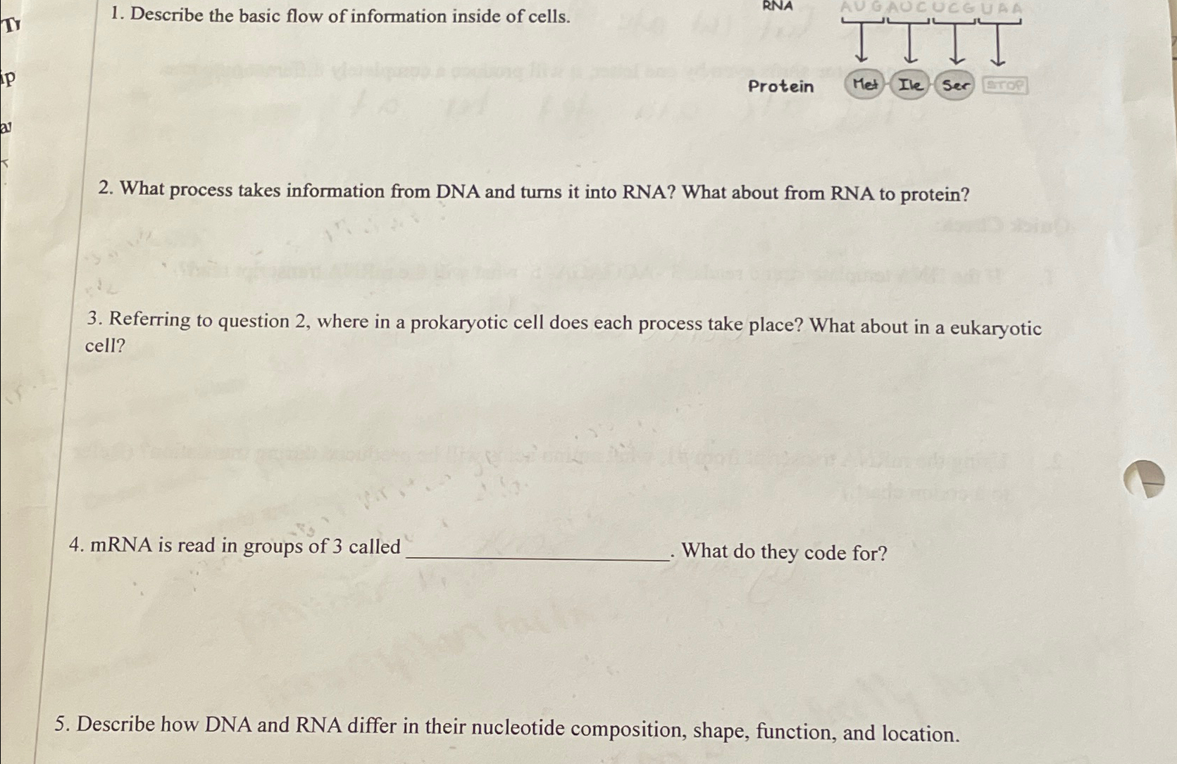 Solved 1.Describe the basic flow of information inside of | Chegg.com