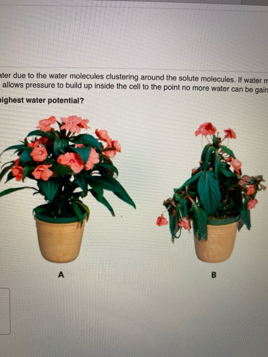 Solved Water potentialis a physical property that can be | Chegg.com