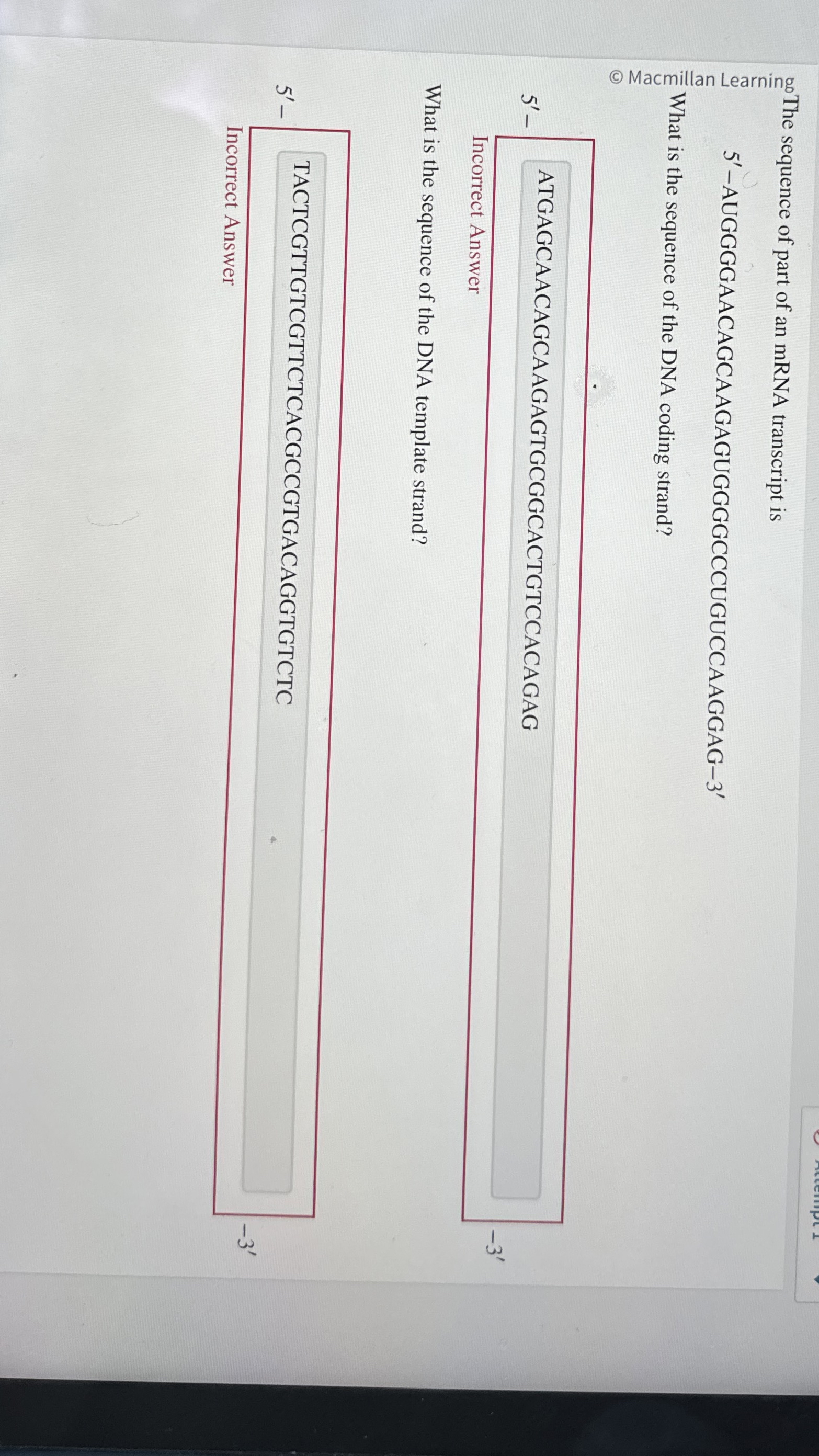 Solved ?0 ﻿The sequence of part of an mRNA transcript | Chegg.com