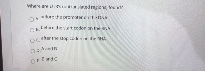 Solved Where are UTR's (untranslated regions) found? before | Chegg.com