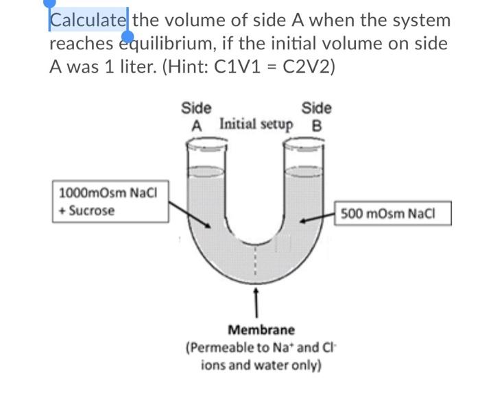 Solved Calculate the volume of side A when the system | Chegg.com
