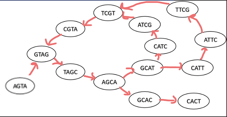 Solved Consider the following De Bruijn graph. How many | Chegg.com