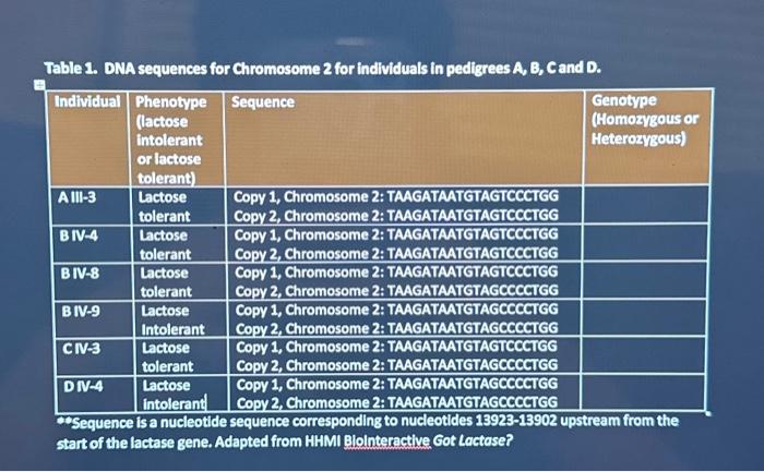 Solved Table 1. DWA sequences for Chromosome 2 for | Chegg.com