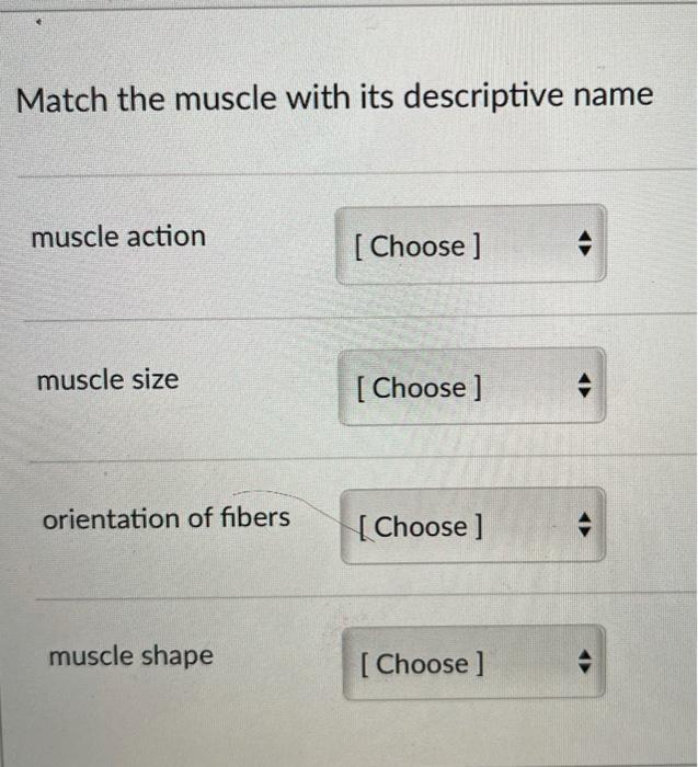Solved Match the muscle with its descriptive name muscle | Chegg.com