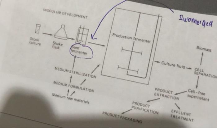 Solved INOCULUM DEVELOPMENT Submerged Production fermenter | Chegg.com