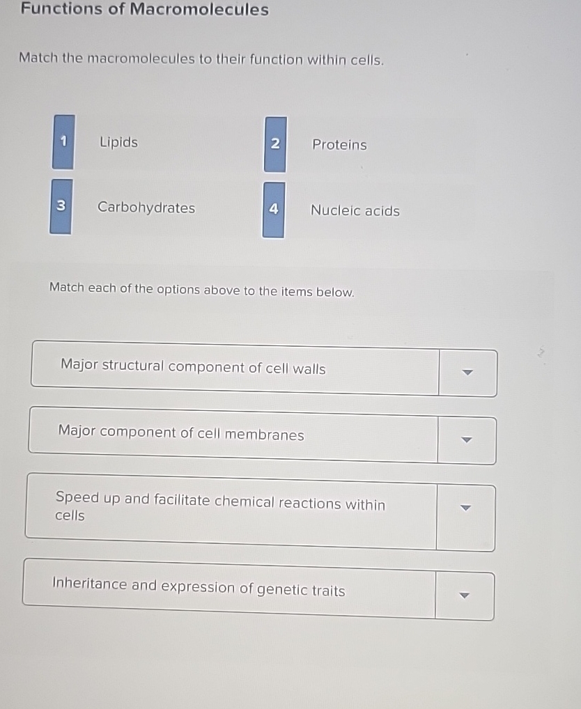 Solved Functions of MacromoleculesMatch the macromolecules | Chegg.com