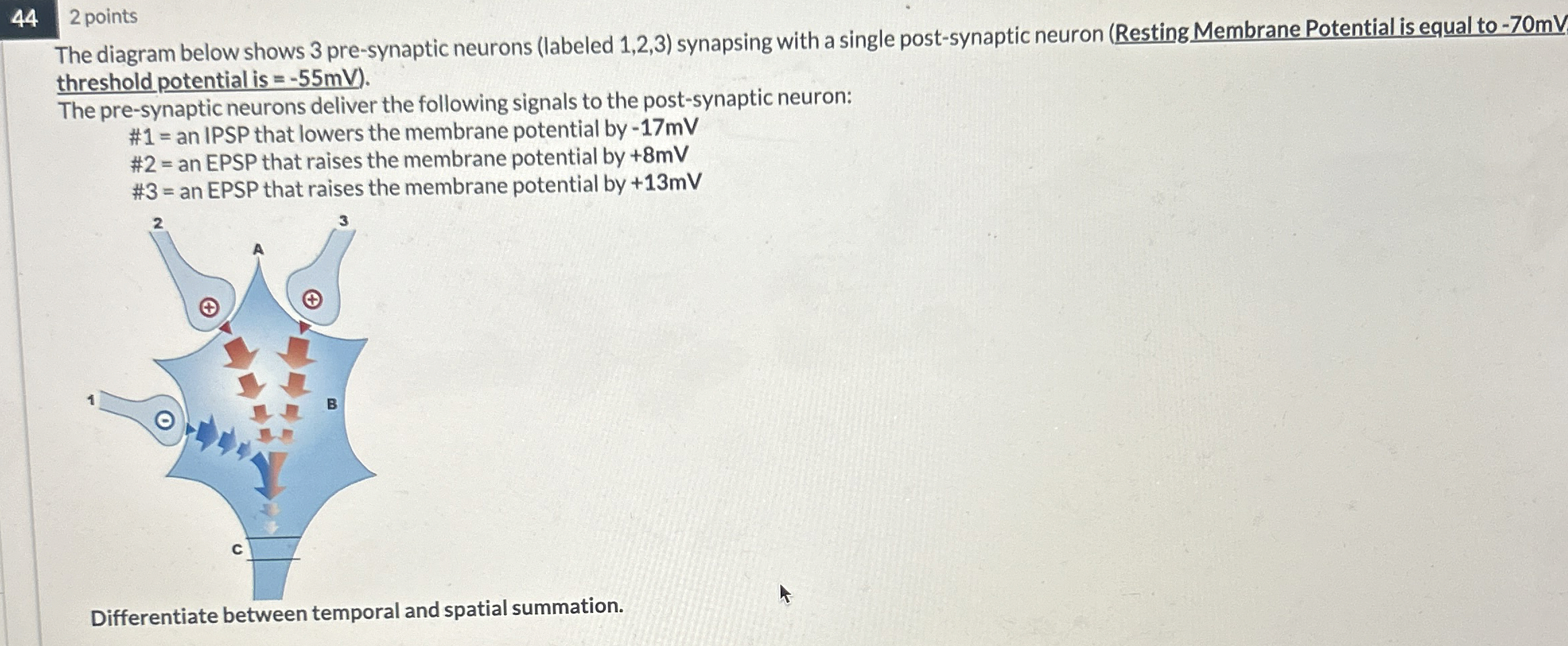 Solved The diagram below shows 3 ﻿pre-synaptic neurons | Chegg.com