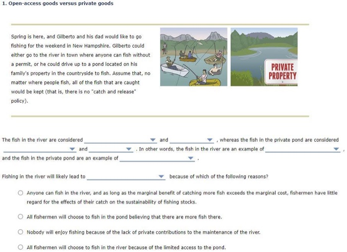 1. Open-access goods versus private goods Spring is | Chegg.com