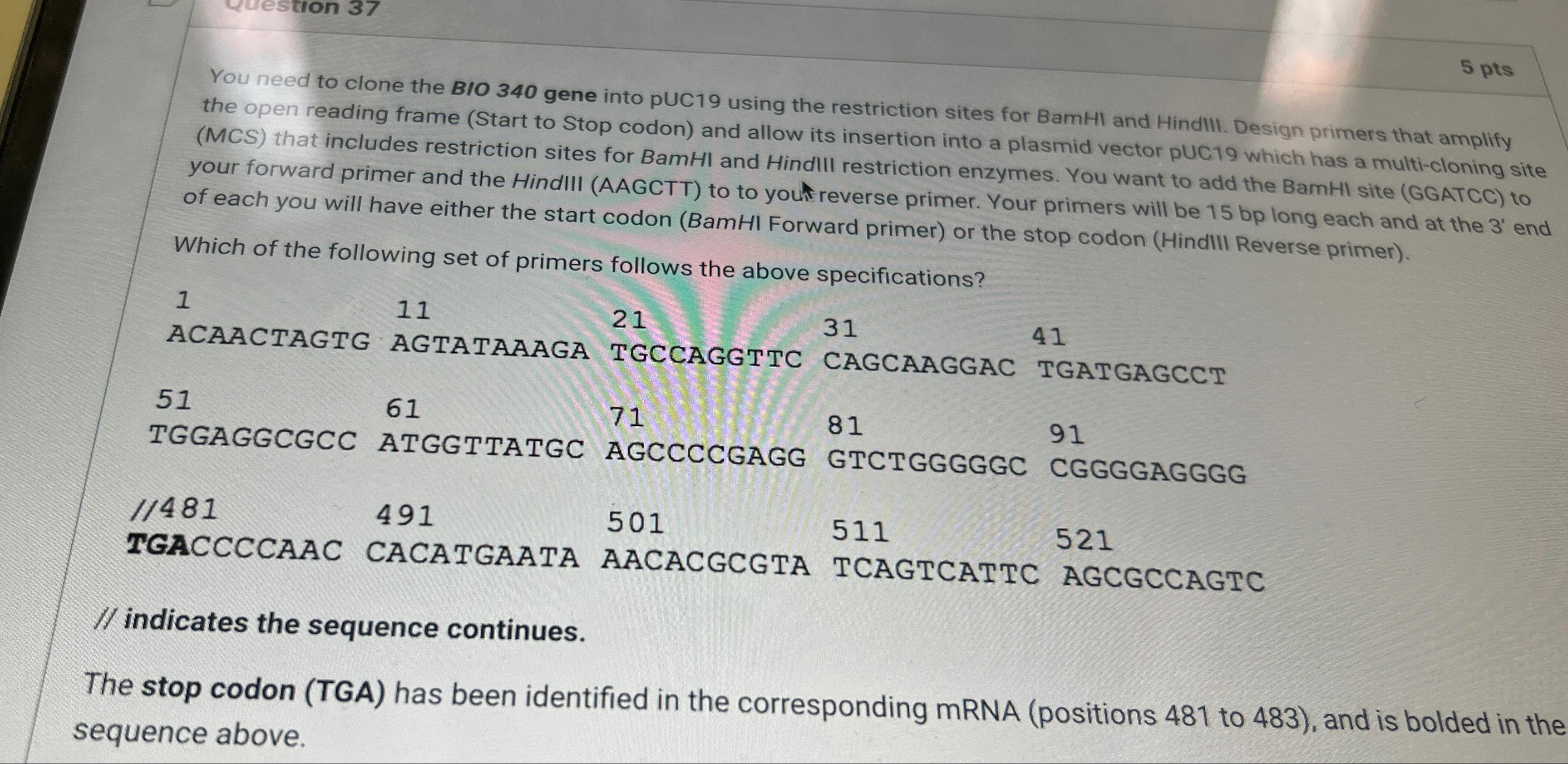 Solved 5 ﻿ptsYou need to clone the BIO 340 ﻿gene into pUC19 | Chegg.com