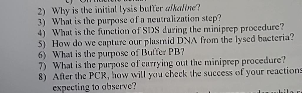 Solved Why is the initial lysis buffer alkaline?What is the | Chegg.com