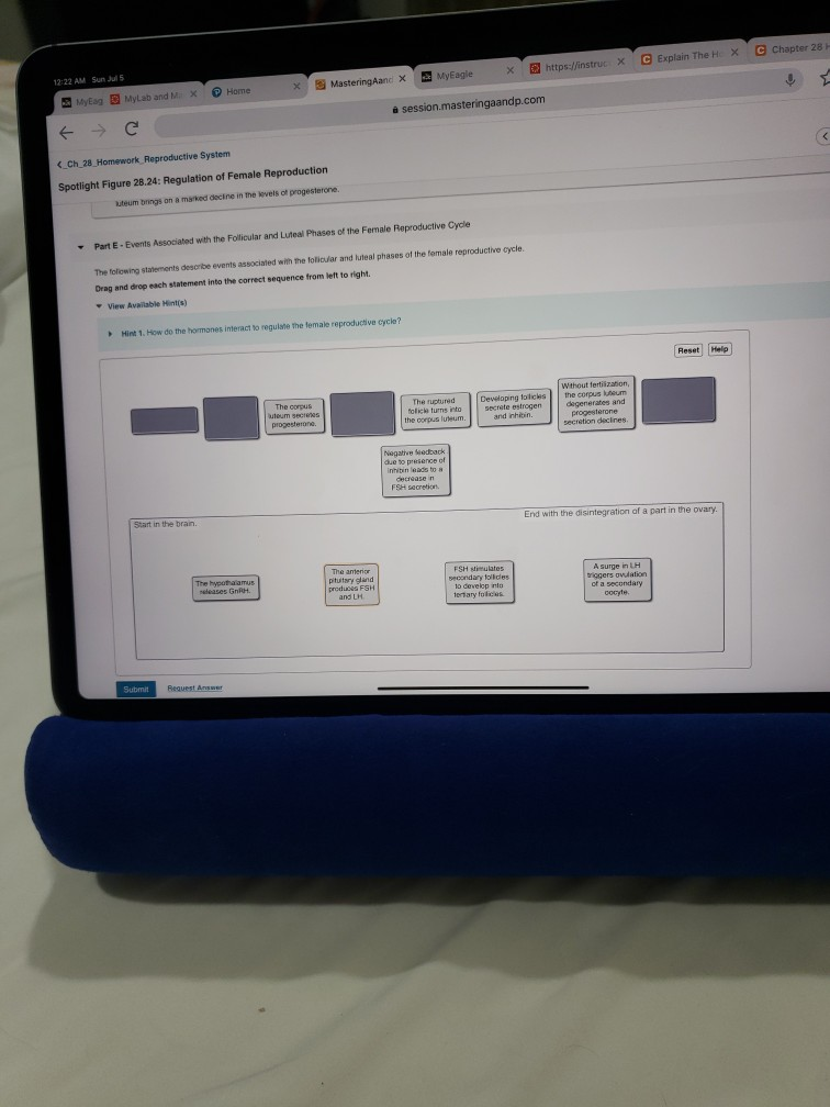 C Chapter 28 https://instrut X C Explain The HX | Chegg.com