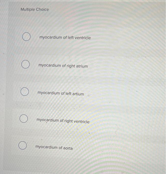 Solved Which structure is highlighted? Multiple Choice | Chegg.com