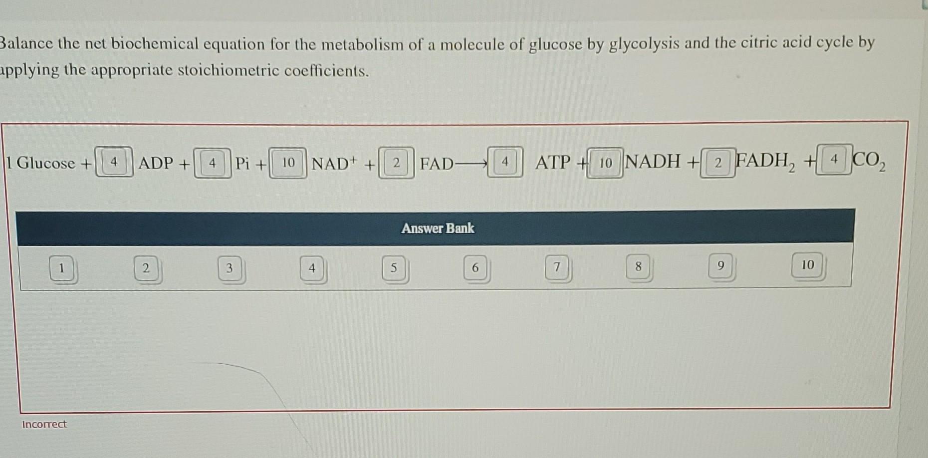 Solved Balance the net biochemical equation for the | Chegg.com