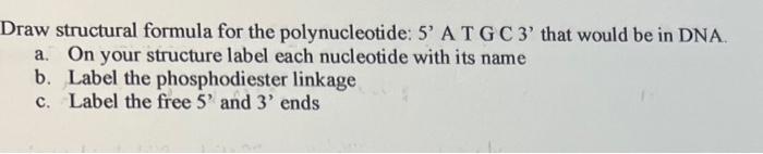 Solved Draw structural formula for the polynucleotide: 5' A | Chegg.com