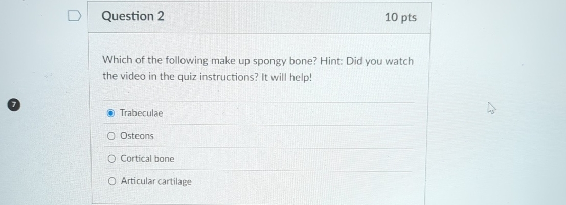 Solved Question 210 ﻿ptsWhich of the following make up | Chegg.com
