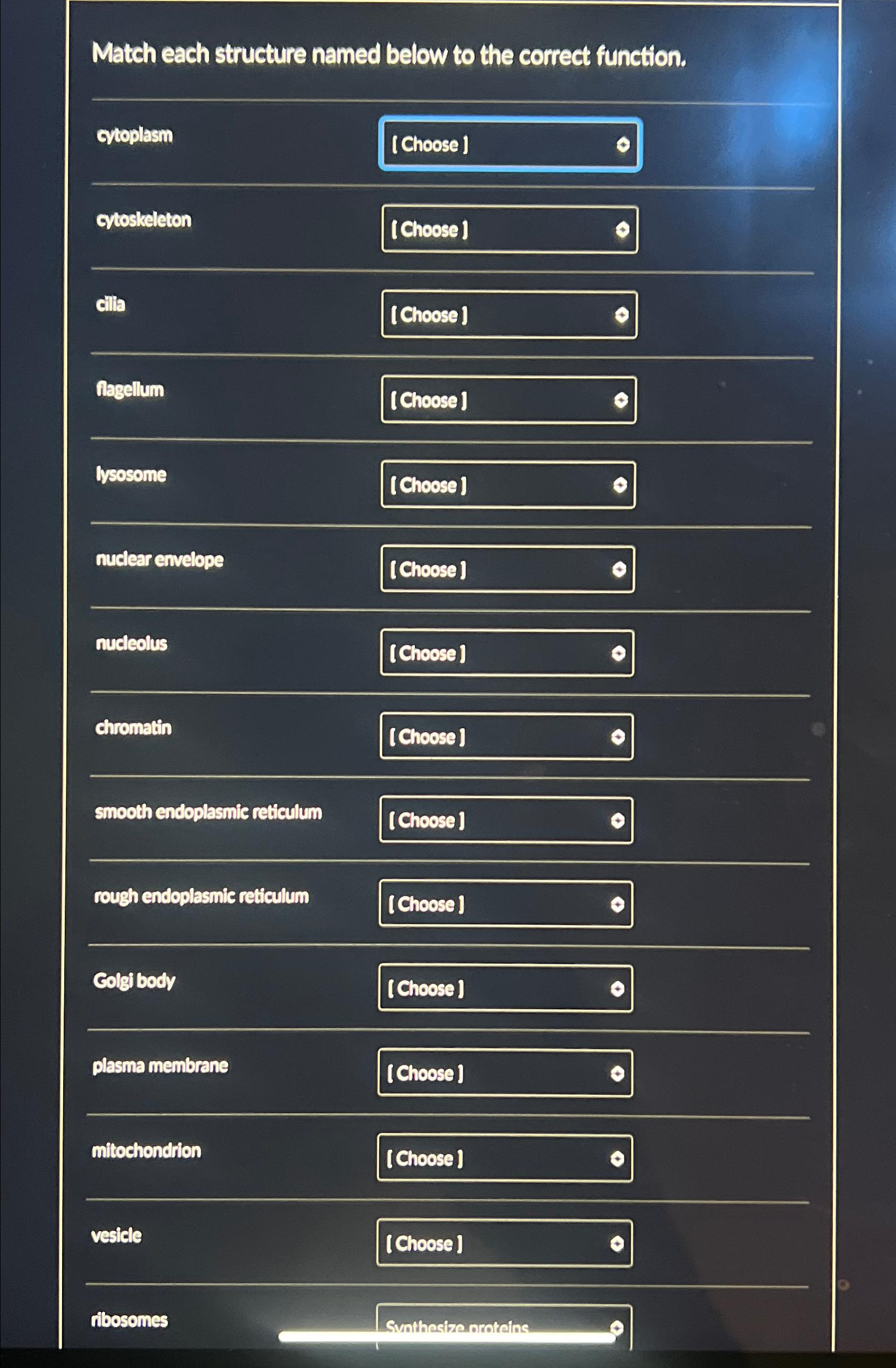 Solved Match each structure named below to the correct | Chegg.com