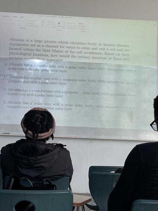 Solved Albumin is a large protein which circulates freely in | Chegg.com