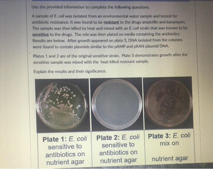 Solved Use the provided information to complete the | Chegg.com