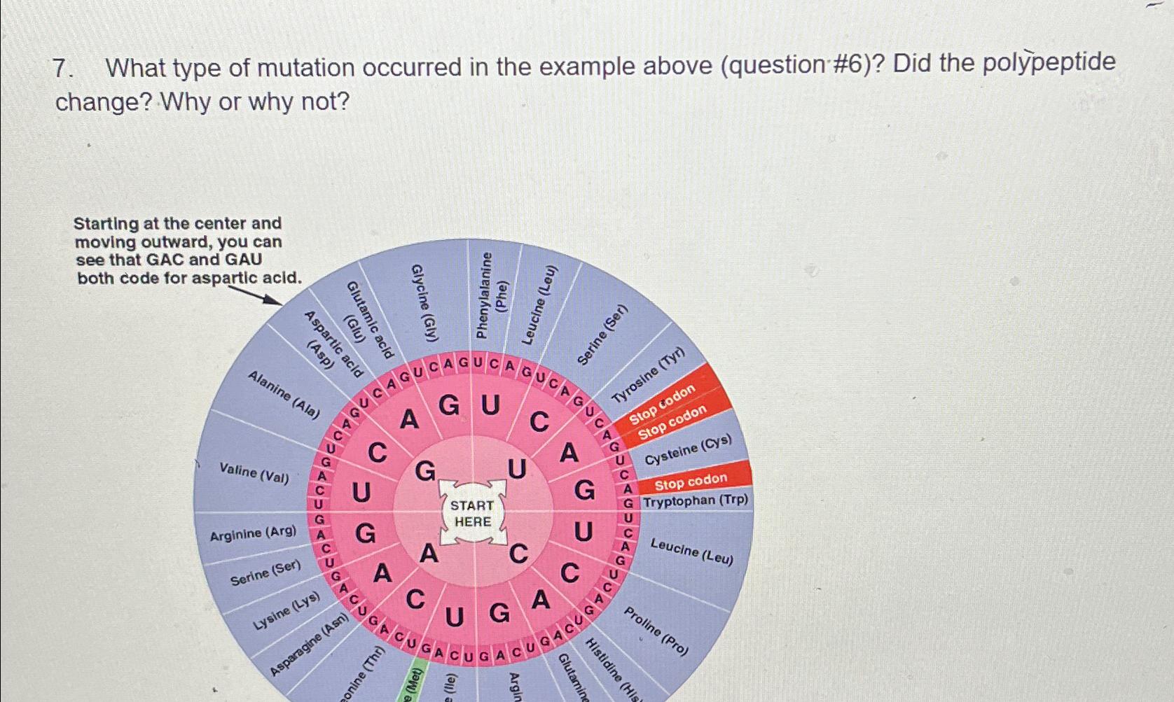 Solved What type of mutation occurred in the example above | Chegg.com